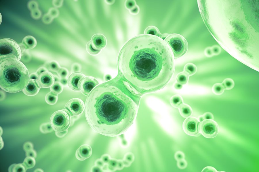 Green Cell rozpoczyna współpracę z Chain4Energy | ISBtech.pl Green Cell rozpoczyna współpracę z Chain4Energy | ISBtech.pl